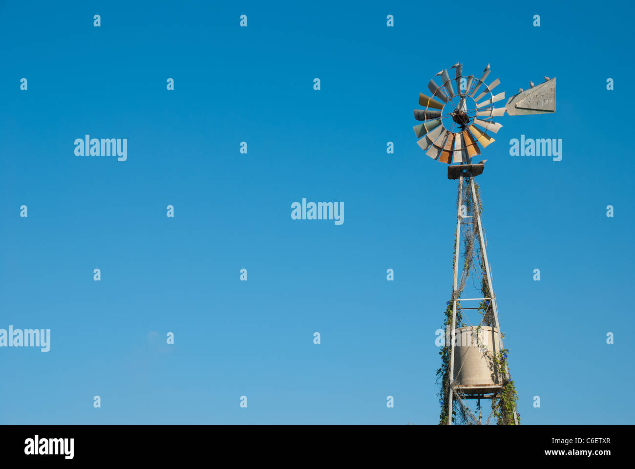 Traditional windmill pump extracting water from a well Stock Photo - Alamy