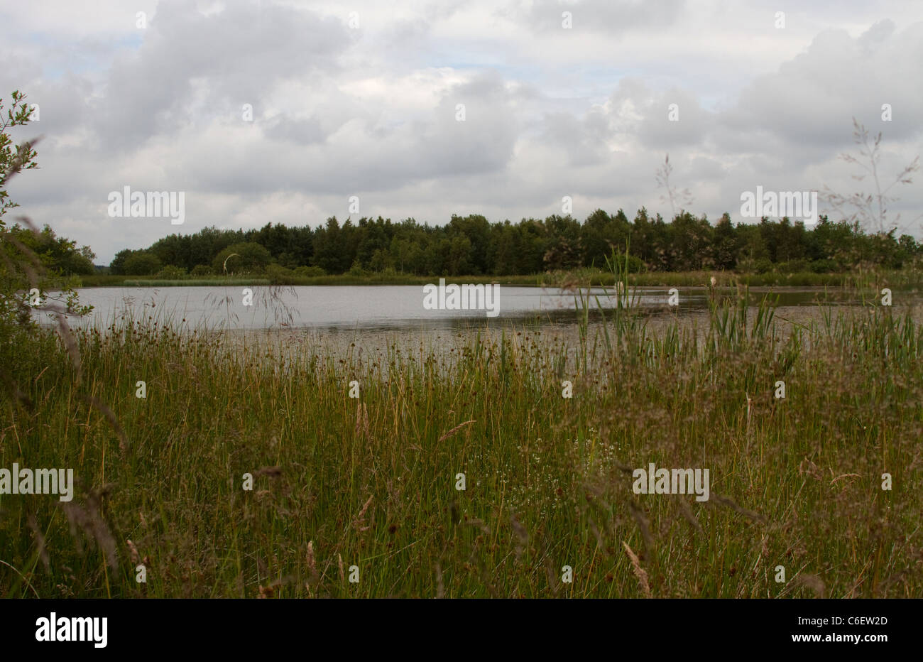 Burnhope Pond in summer Stock Photo - Alamy