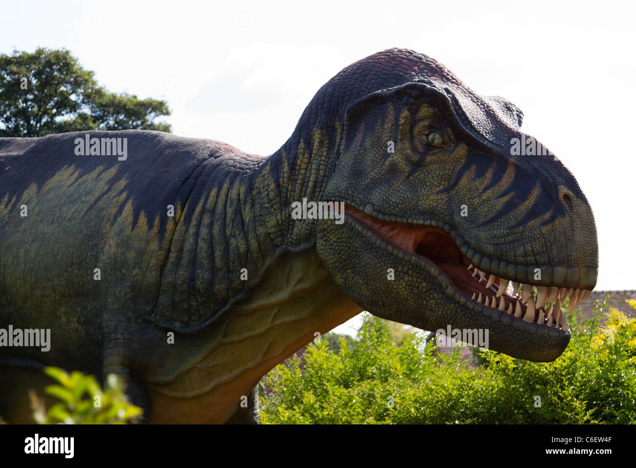 Taken by the t rex hi-res stock photography and images - Alamy