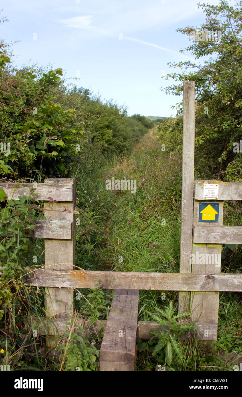Country path and stile Stock Photo - Alamy