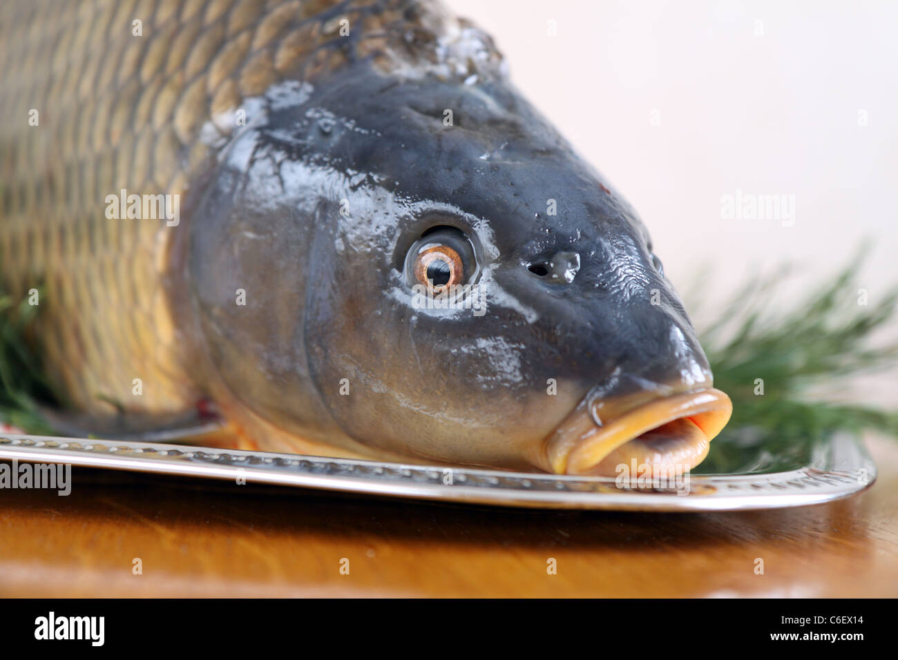 Czech tradition carp on christmas hi-res stock photography and images ...