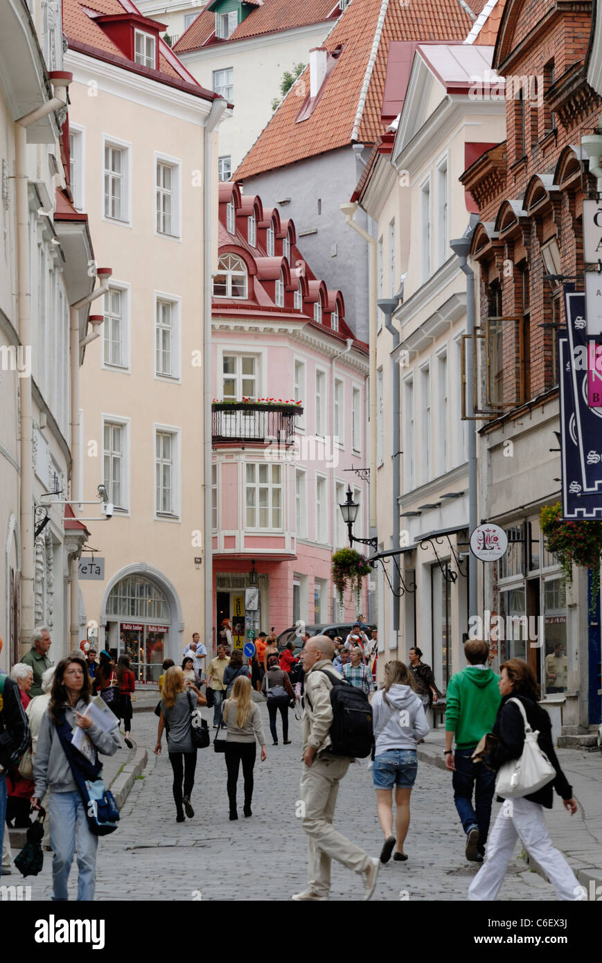 Tallinn old town street view Stock Photo - Alamy