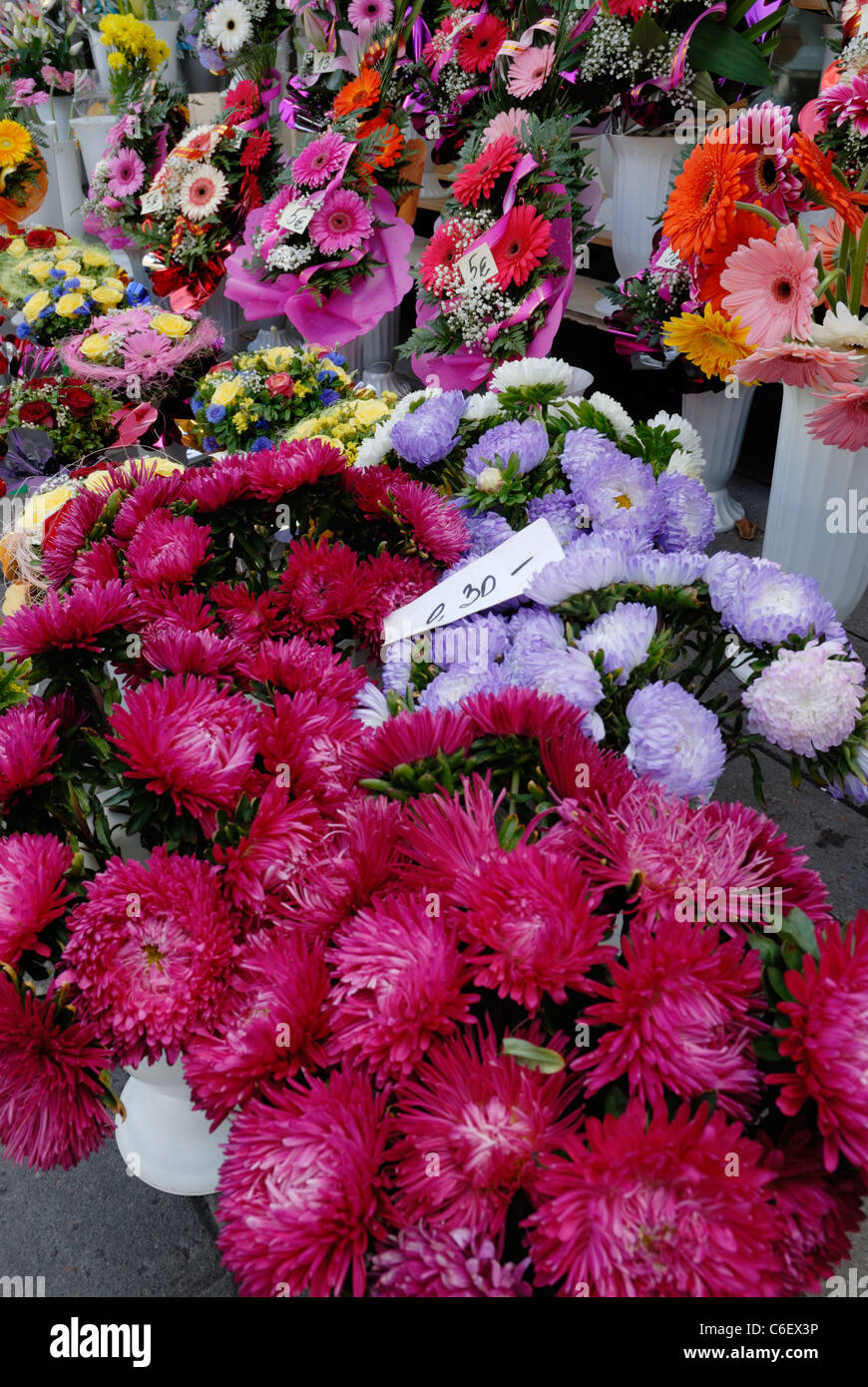 Tallinn old town, flowers on sale Stock Photo - Alamy