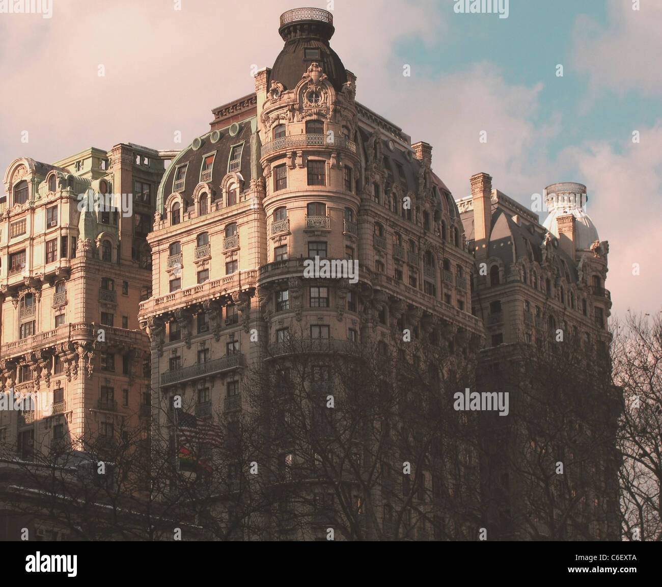 Ansonia hi-res stock photography and images - Alamy