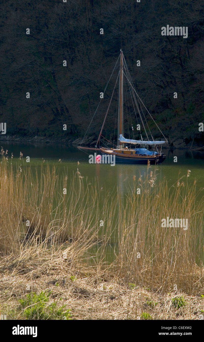Mooring on the River Tamar, Calstock, Cornwall Stock Photo - Alamy