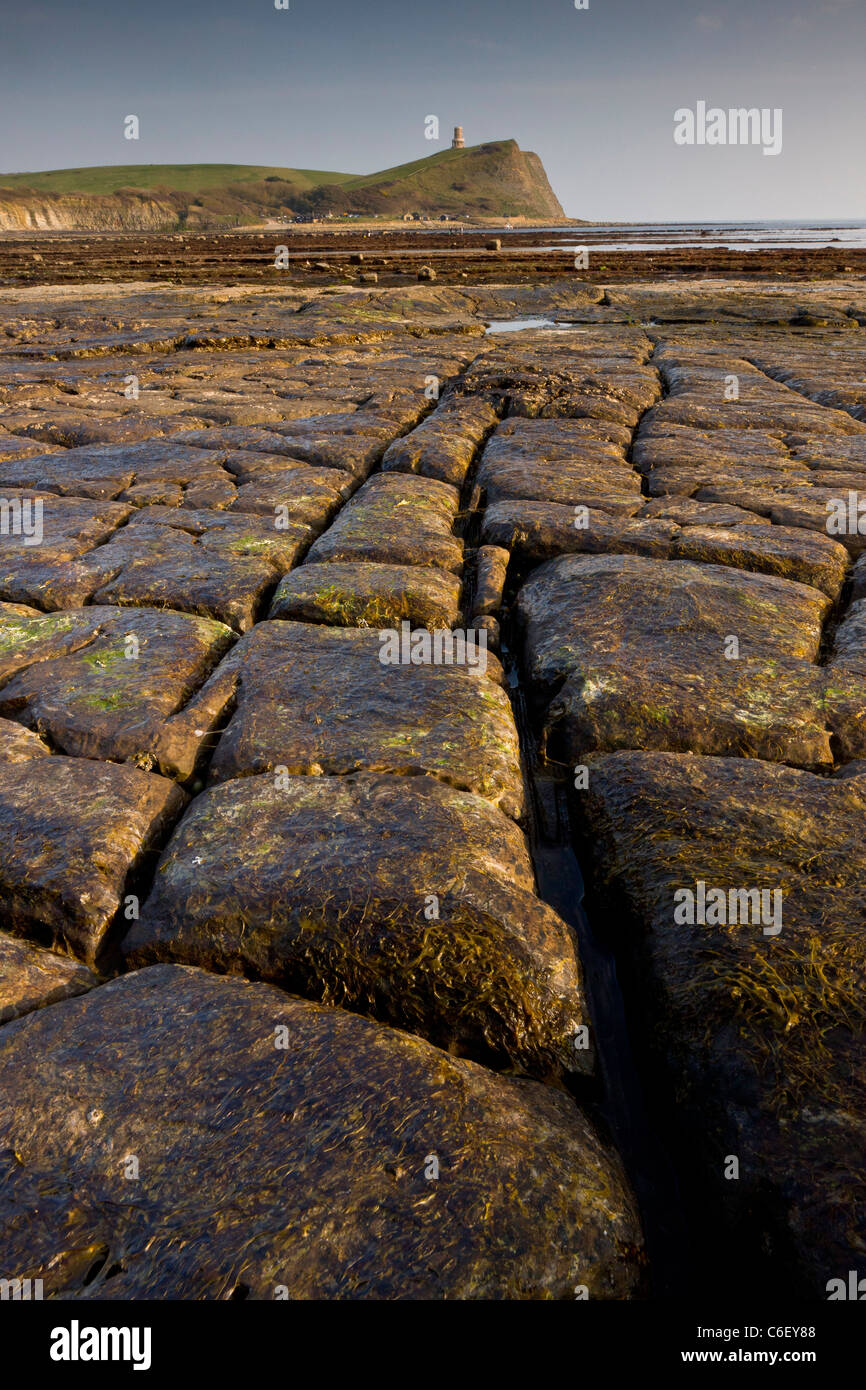 Wave cut platform hi-res stock photography and images - Alamy