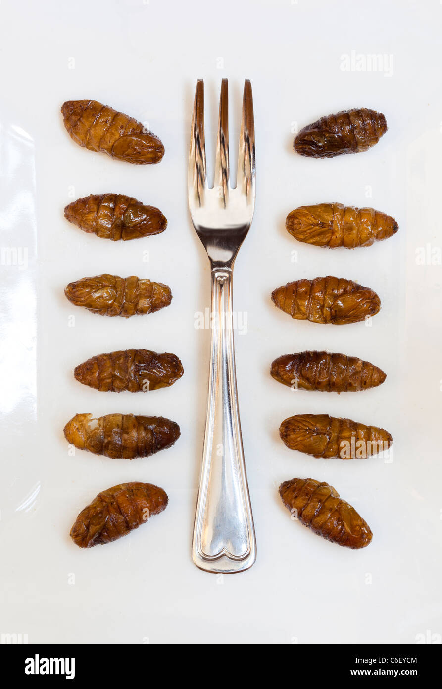 Edible insects plate hi-res stock photography and images - Alamy