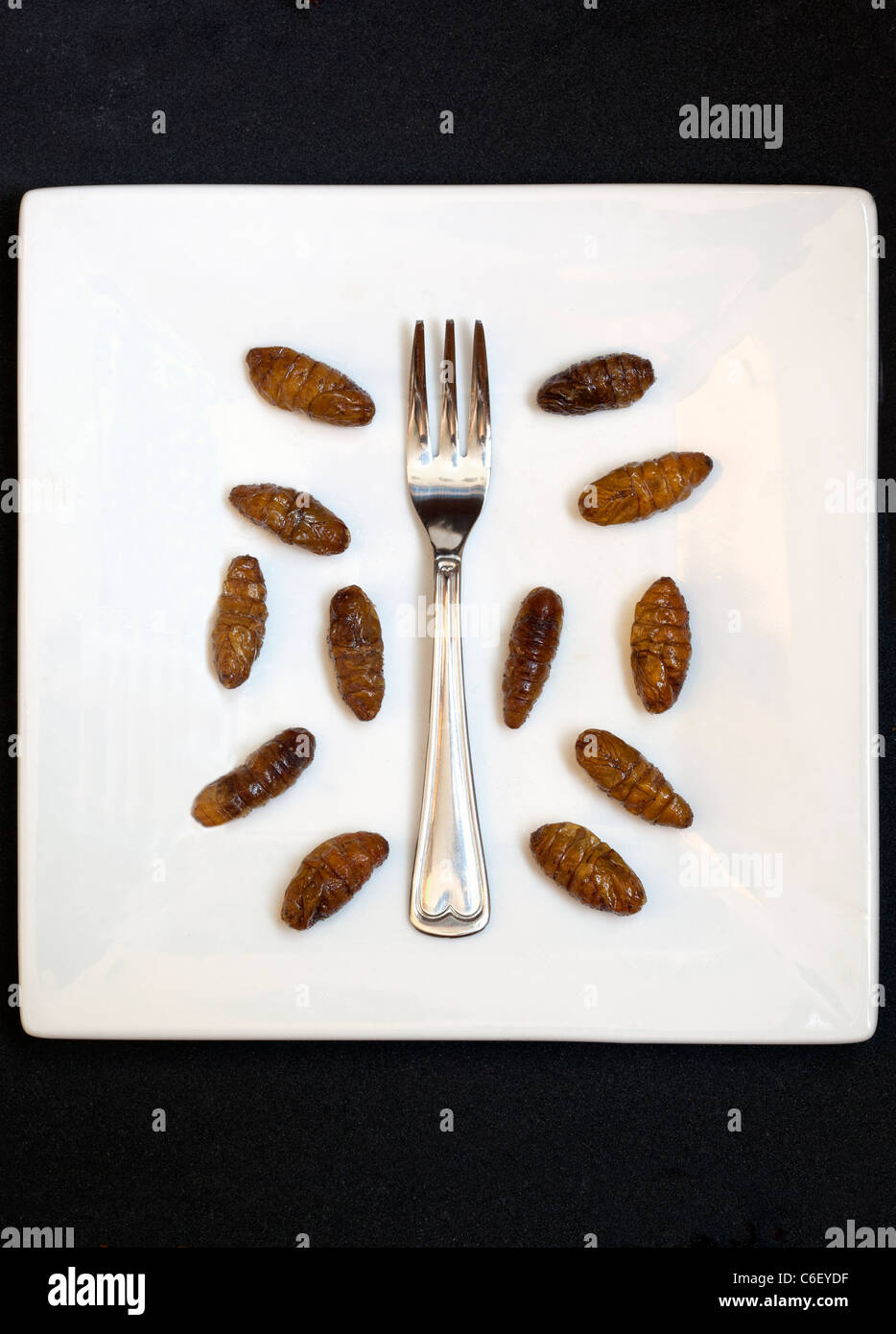 Silkworm larvae hi-res stock photography and images - Alamy