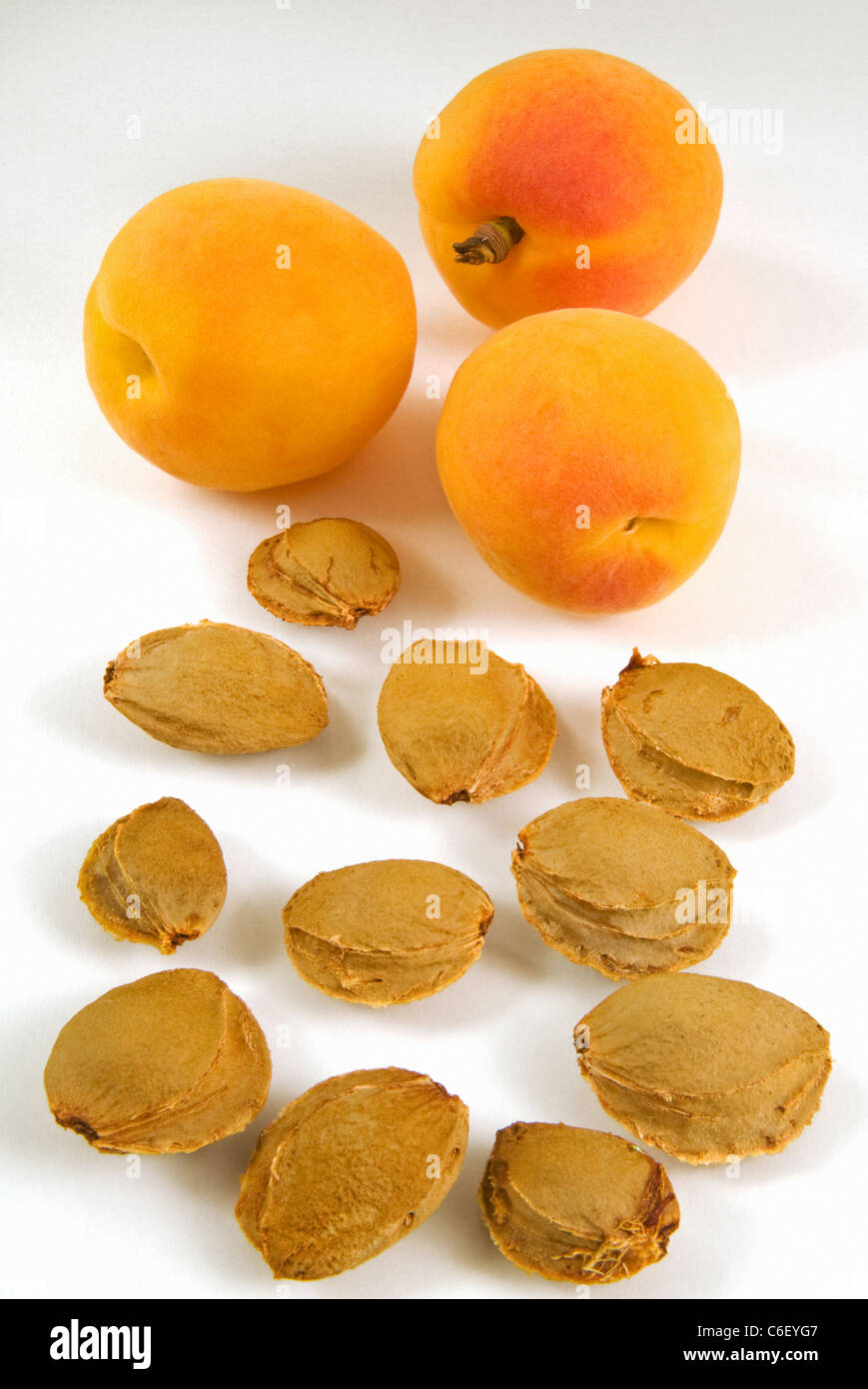 Apricots and apricot kernels Stock Photo - Alamy