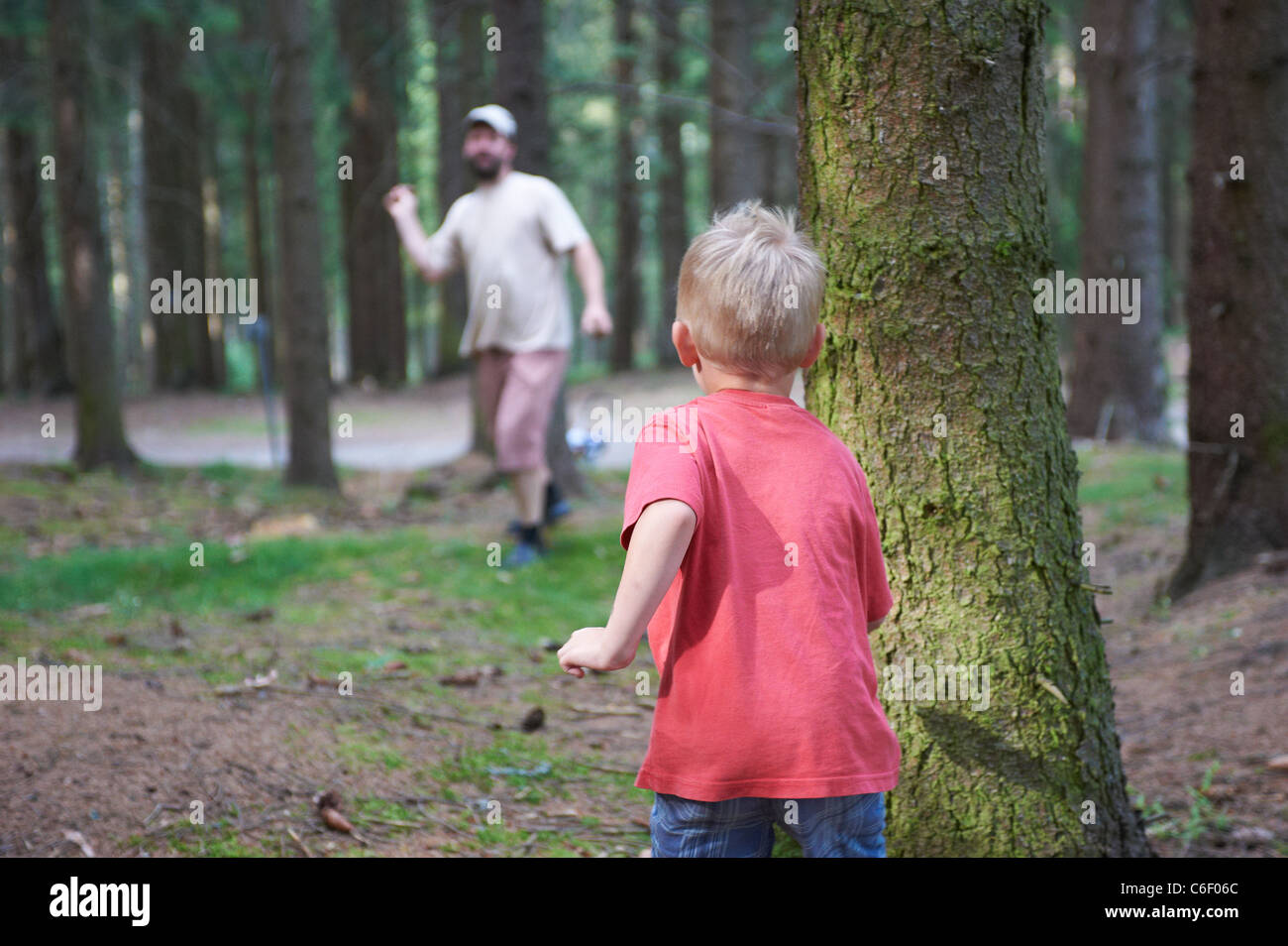 Child blond boy throwing cone in forest - cones battle Stock Photo - Alamy