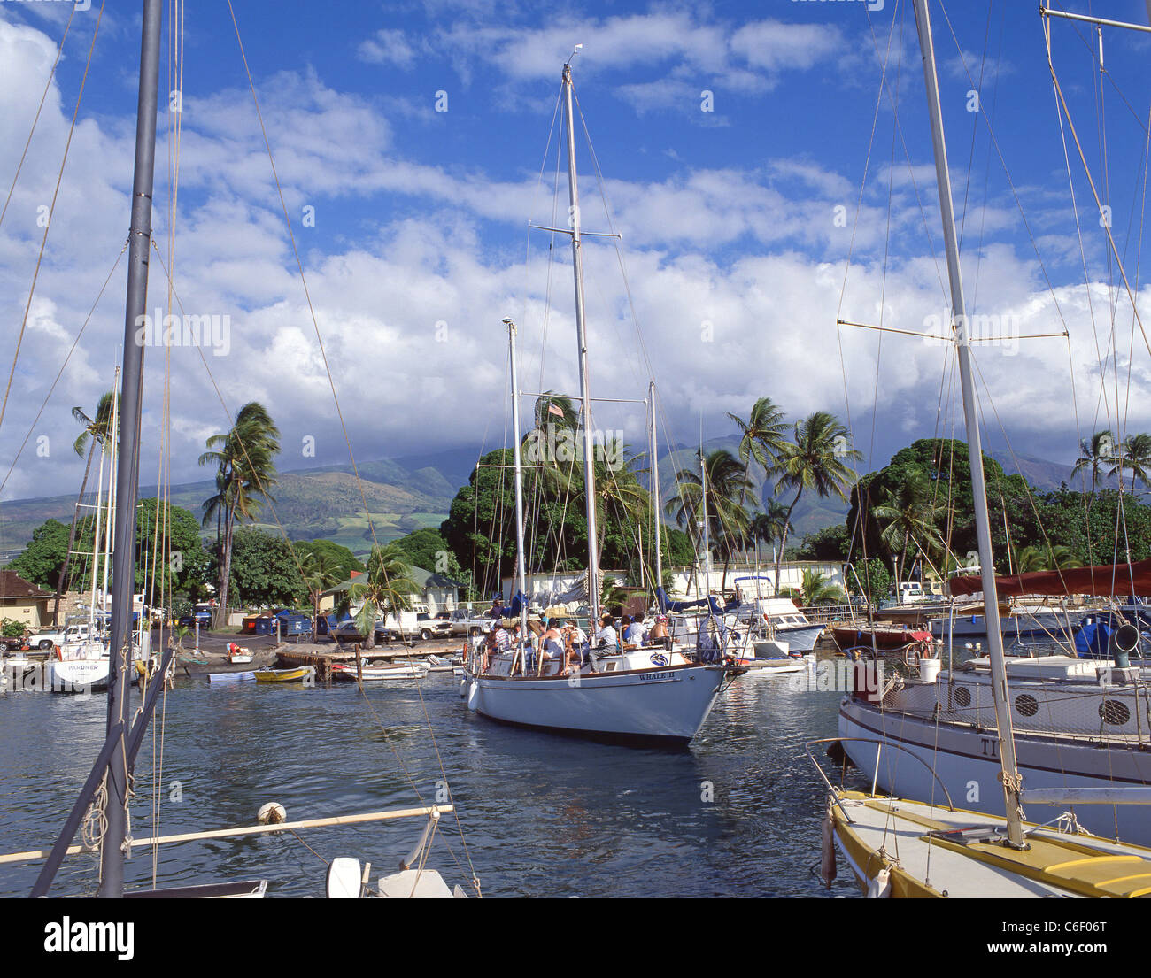 Waterfront marina at Lahaina, West Maui, Maui, Hawaii, United States of ...