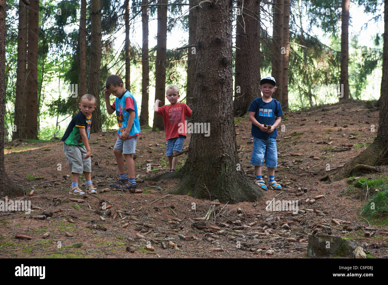 Child blond boy throwing cone in forest - cones battle Stock Photo - Alamy