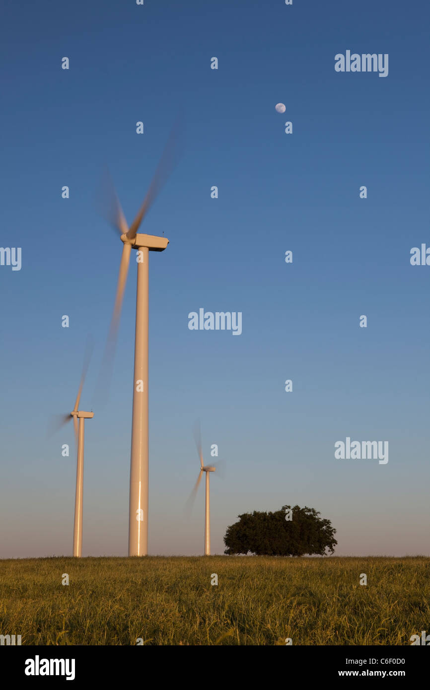 A group of wind turbines in west Texas seen at sunset Stock Photo - Alamy