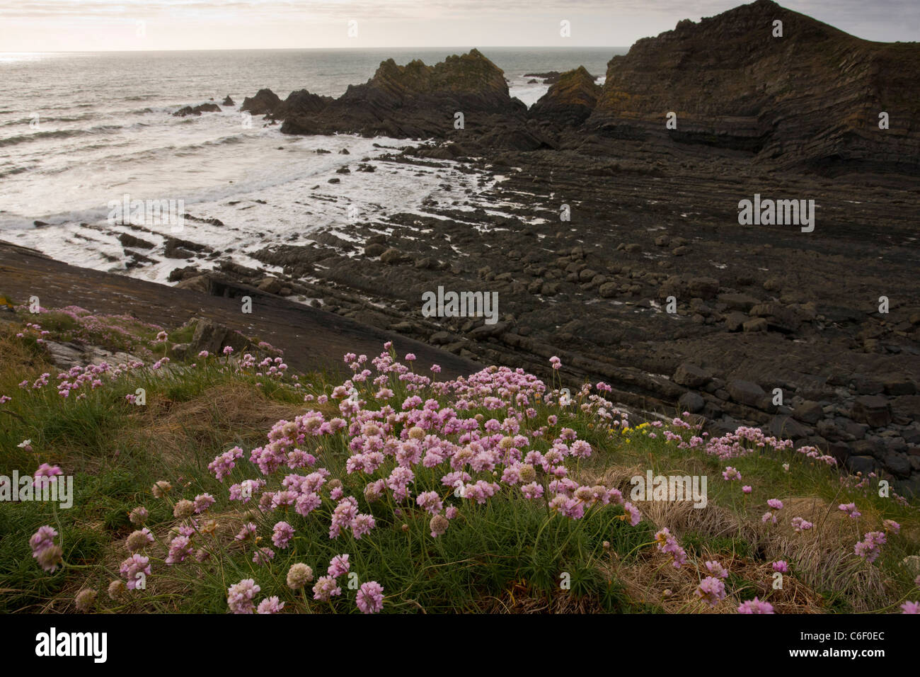 On sandstone and mudstone rock hi-res stock photography and images - Alamy