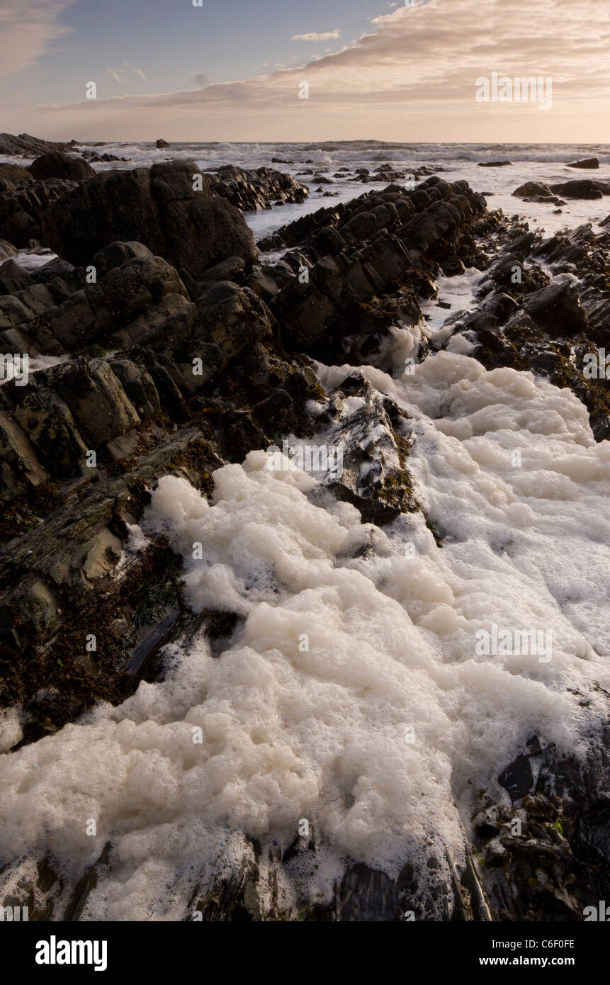 Sea cliffs folded rocks hi-res stock photography and images - Alamy