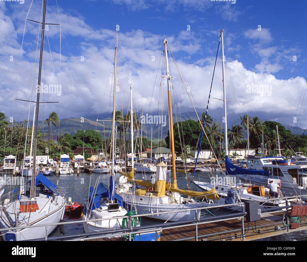 Waterfront marina at Lahaina, West Maui, Maui, Hawaii, United States of ...