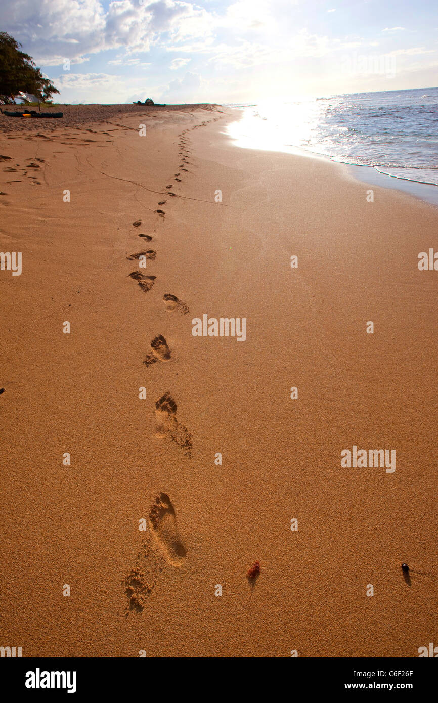 Milolii Beach, Napali Coast, Kauai, Hawaii Stock Photo - Alamy