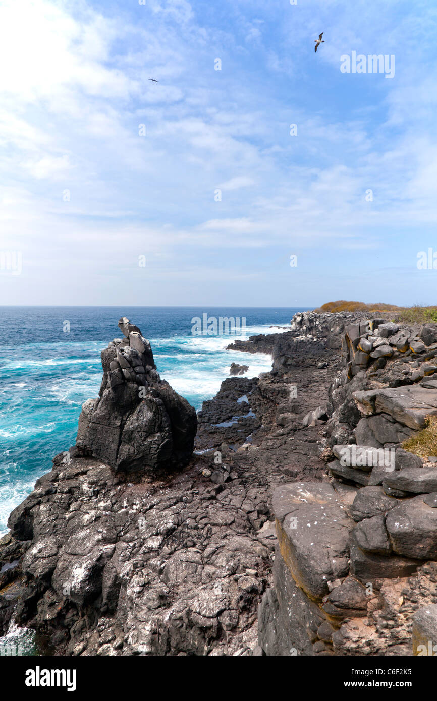 Windswept cliffs at Punta Suarez Espanola Island Galapagos Stock Photo ...