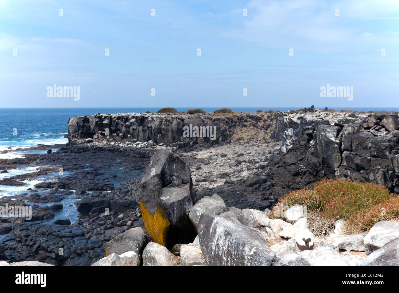 Windswept cliffs at Punta Suarez Espanola Island Galapagos Stock Photo ...
