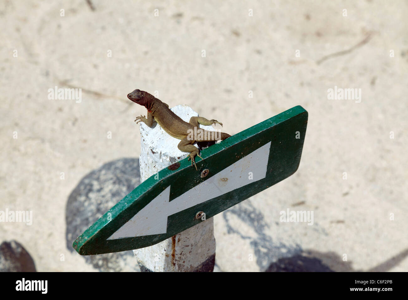 Pathway sign hi-res stock photography and images - Alamy