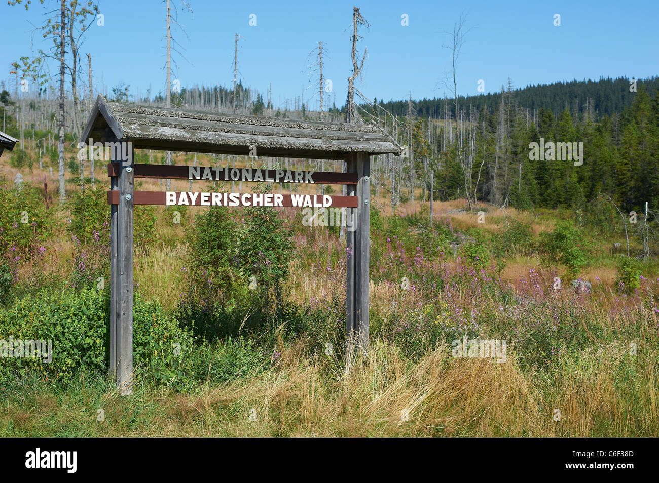 Bavarian Forest National Park, Germany, Czech Republic - Germany ...