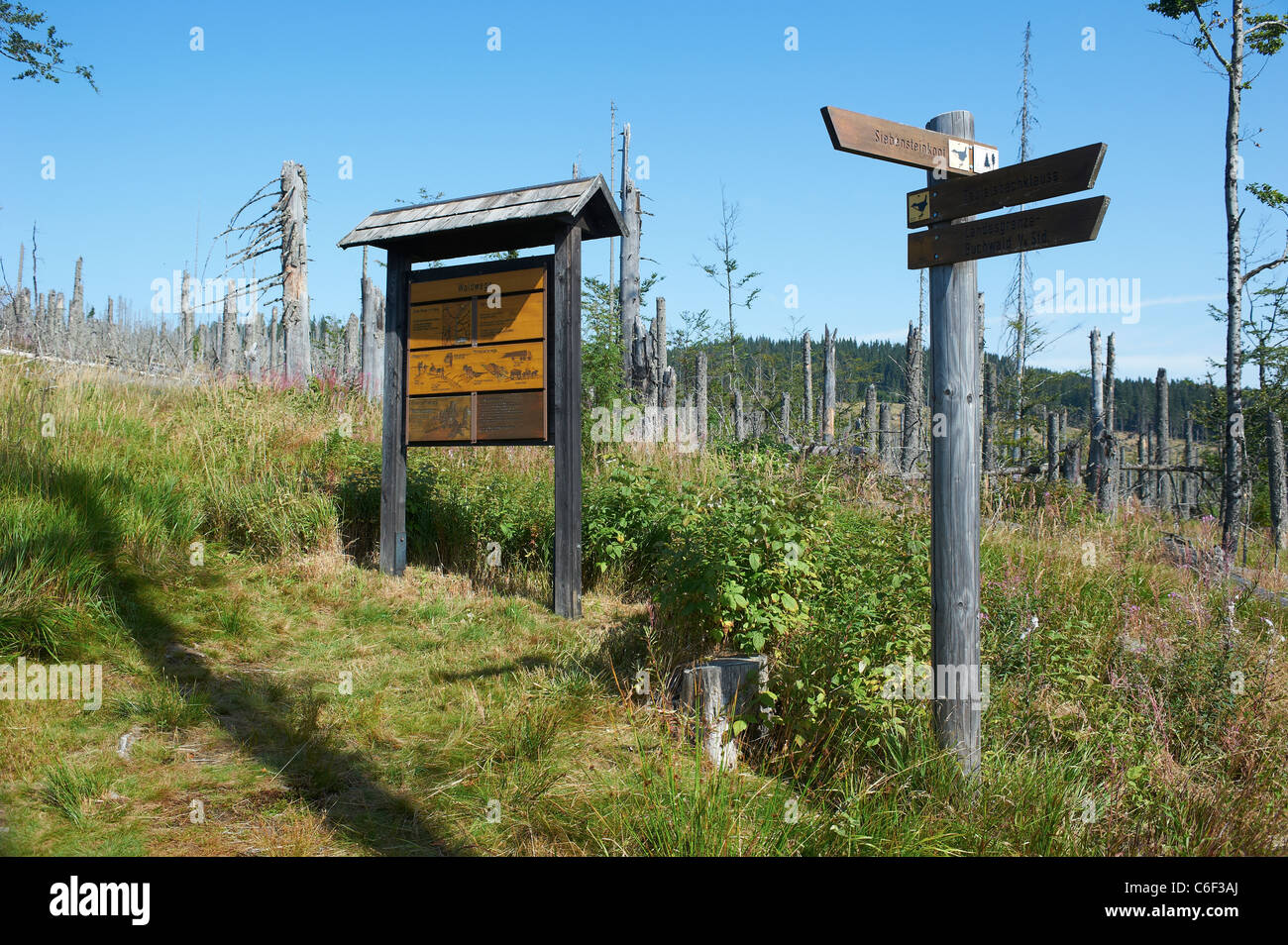 Bavarian Forest National Park, Germany, Czech Republic - Germany ...