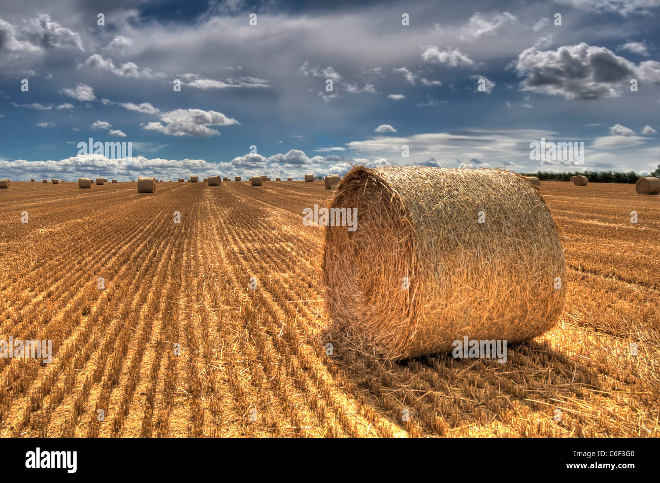 Hay bale in a field after harvesting in Leicestershire, England, UK ...