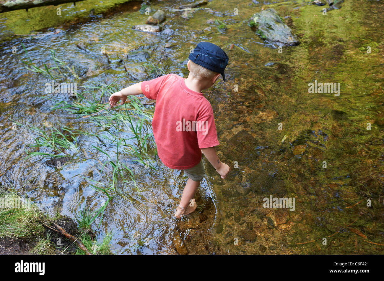 Children exploring in forest - boys playing outdoors Stock Photo - Alamy