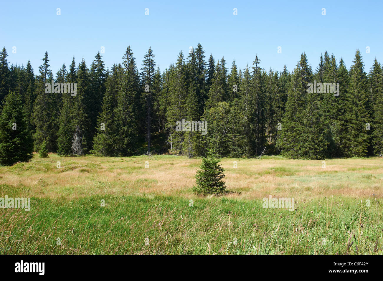 The Bohemian Forest mountain range, Sumava National Park, Böhmerwald ...