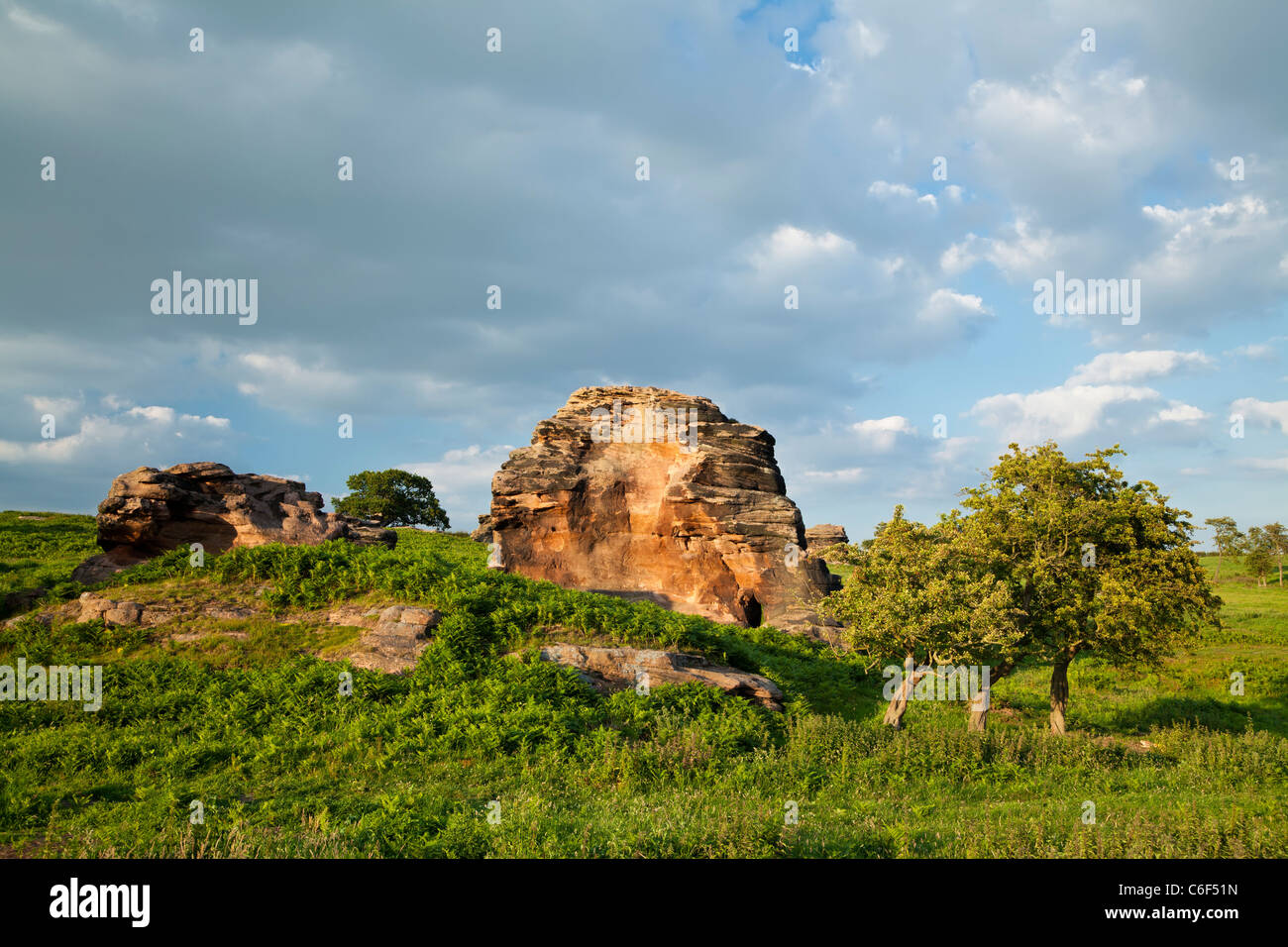 Follifoot hi-res stock photography and images - Alamy