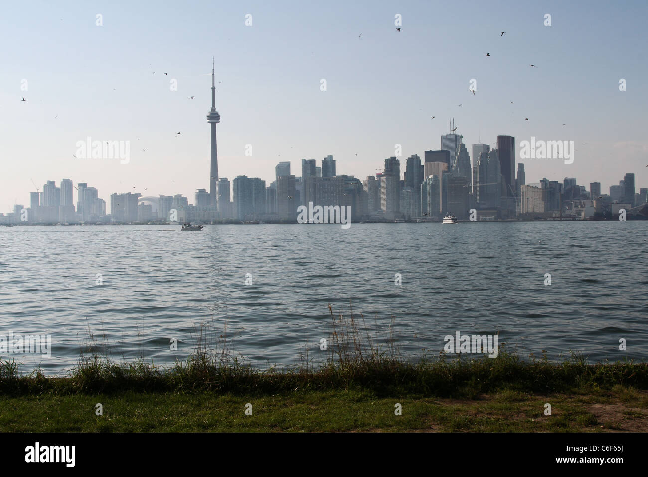 Toronto summer skyline hi-res stock photography and images - Alamy