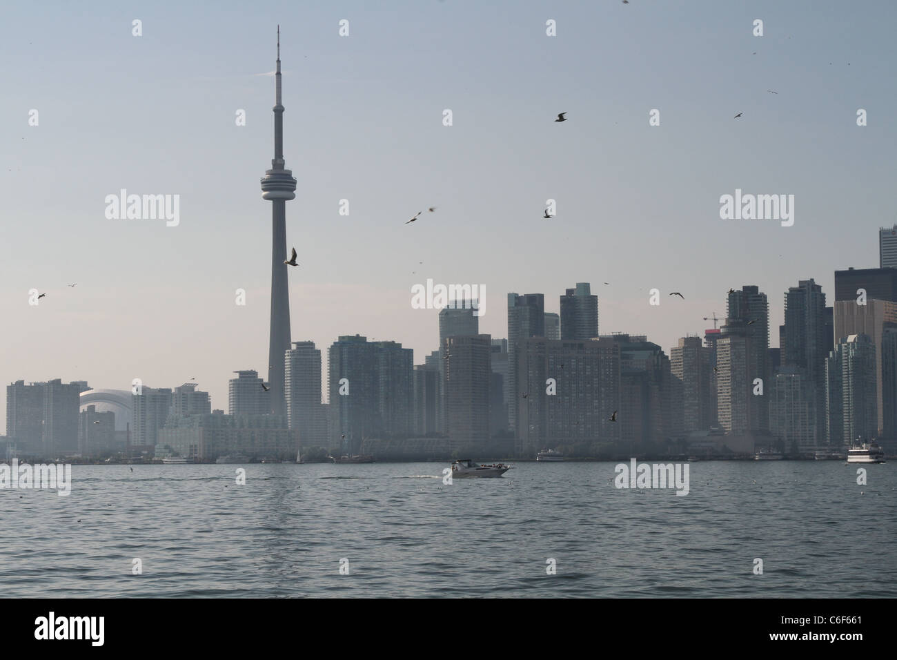 Toronto summer skyline hi-res stock photography and images - Alamy