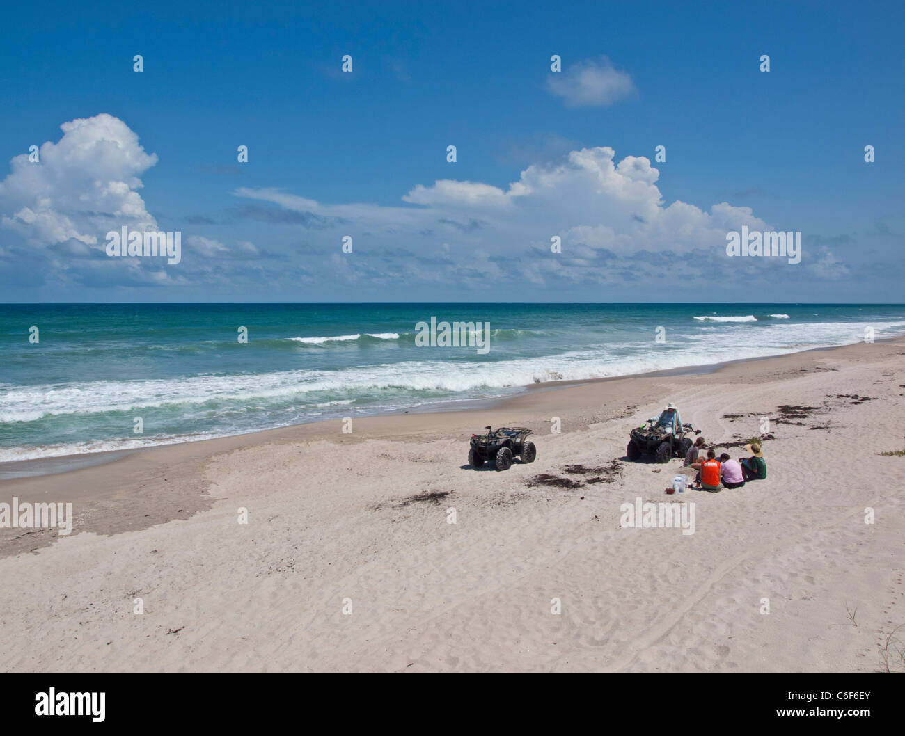 Loggerhead sea turtle eggs hi-res stock photography and images - Alamy
