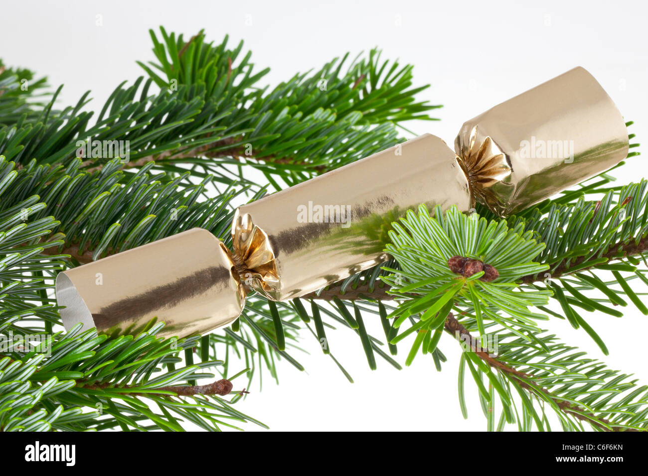 Christmas crackers on a tree branch against white Stock Photo - Alamy