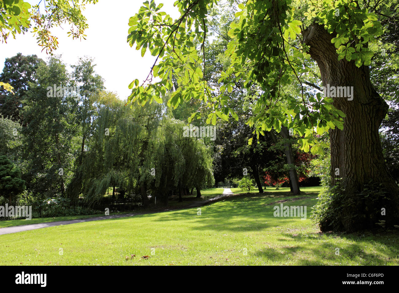 Ewell Court Park, Ewell, Epsom, Surrey, England UK Stock Photo - Alamy