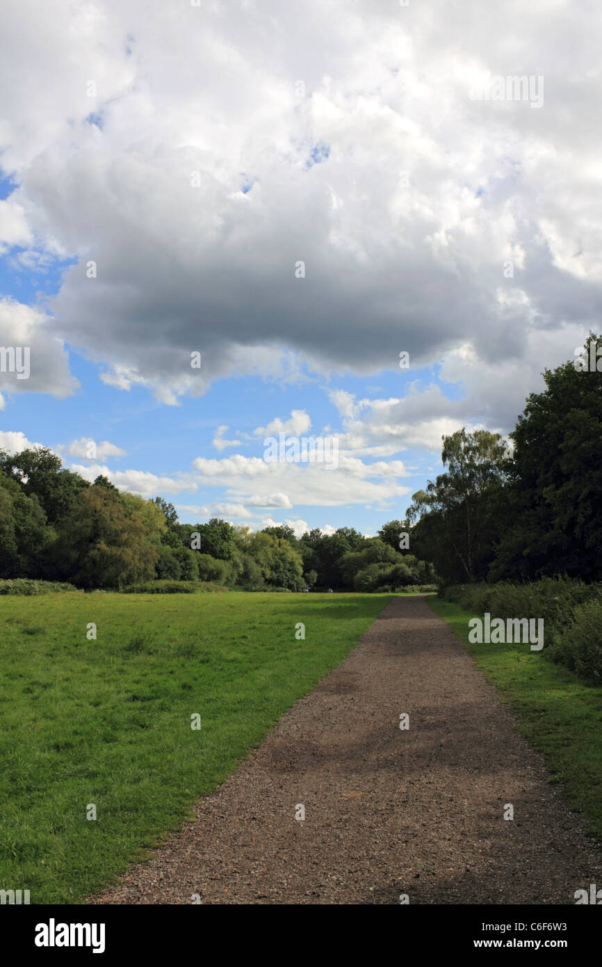 Epsom Common, Epsom, Surrey, England UK Stock Photo - Alamy