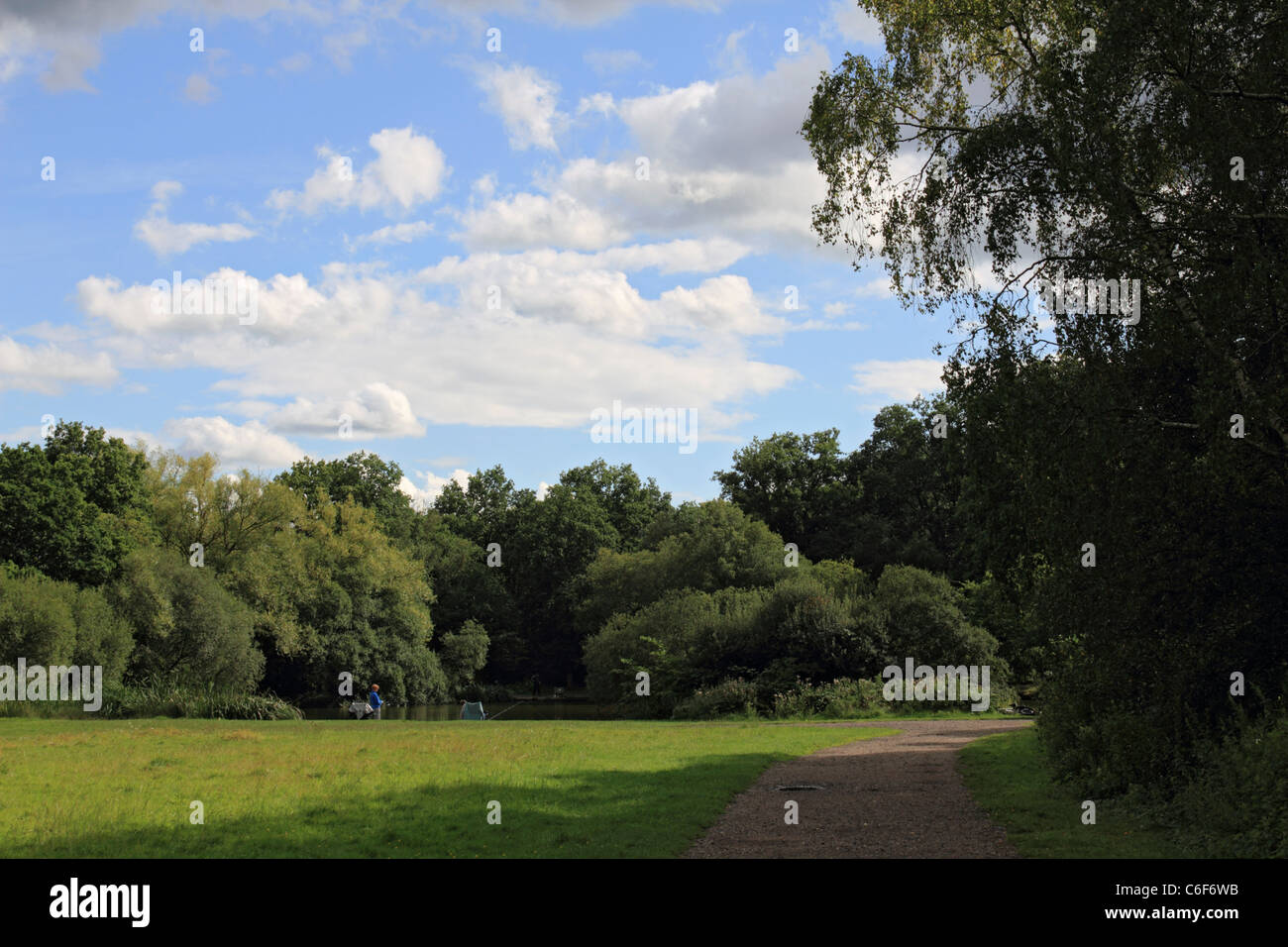 Epsom Common, Epsom, Surrey, England UK Stock Photo - Alamy