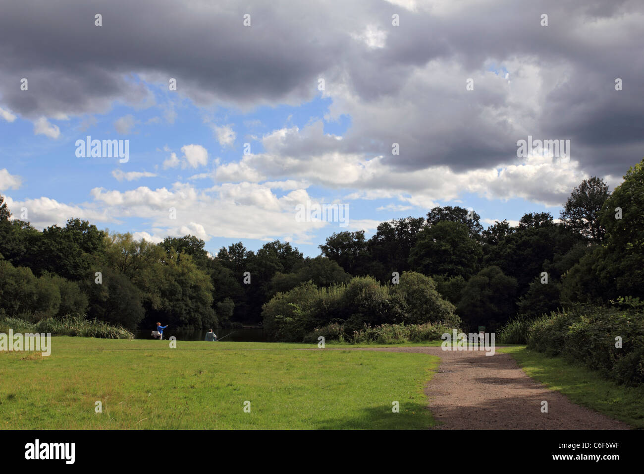 Epsom Common, Epsom, Surrey, England UK Stock Photo - Alamy
