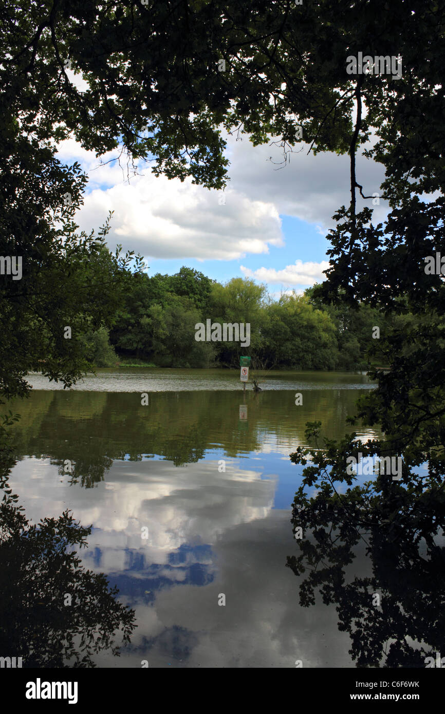 The stew pond at Epsom Common, Epsom, Surrey, England UK Stock Photo ...
