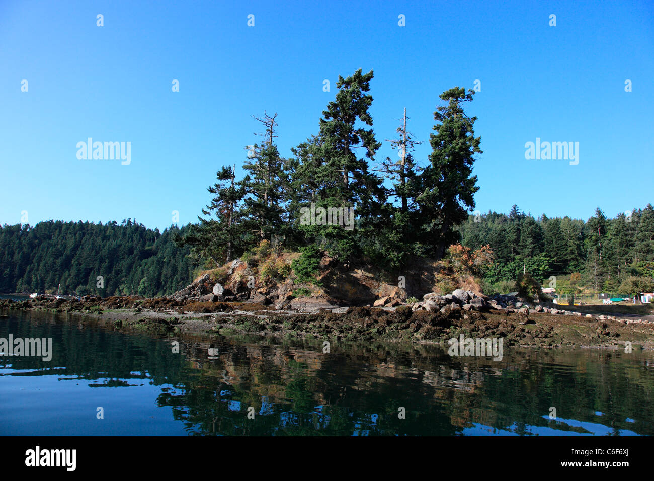 Coastline at port browning marina on Pender Island Stock Photo - Alamy