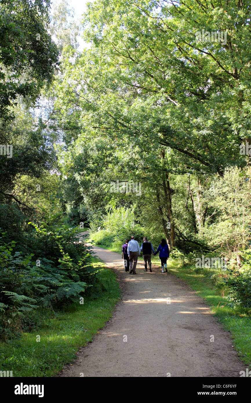 People walking on all weather path in Epsom Common, Epsom, Surrey ...