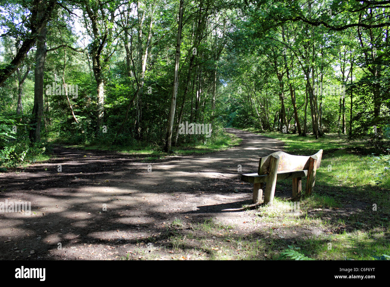 Epsom Common, Epsom, Surrey, England UK Stock Photo - Alamy