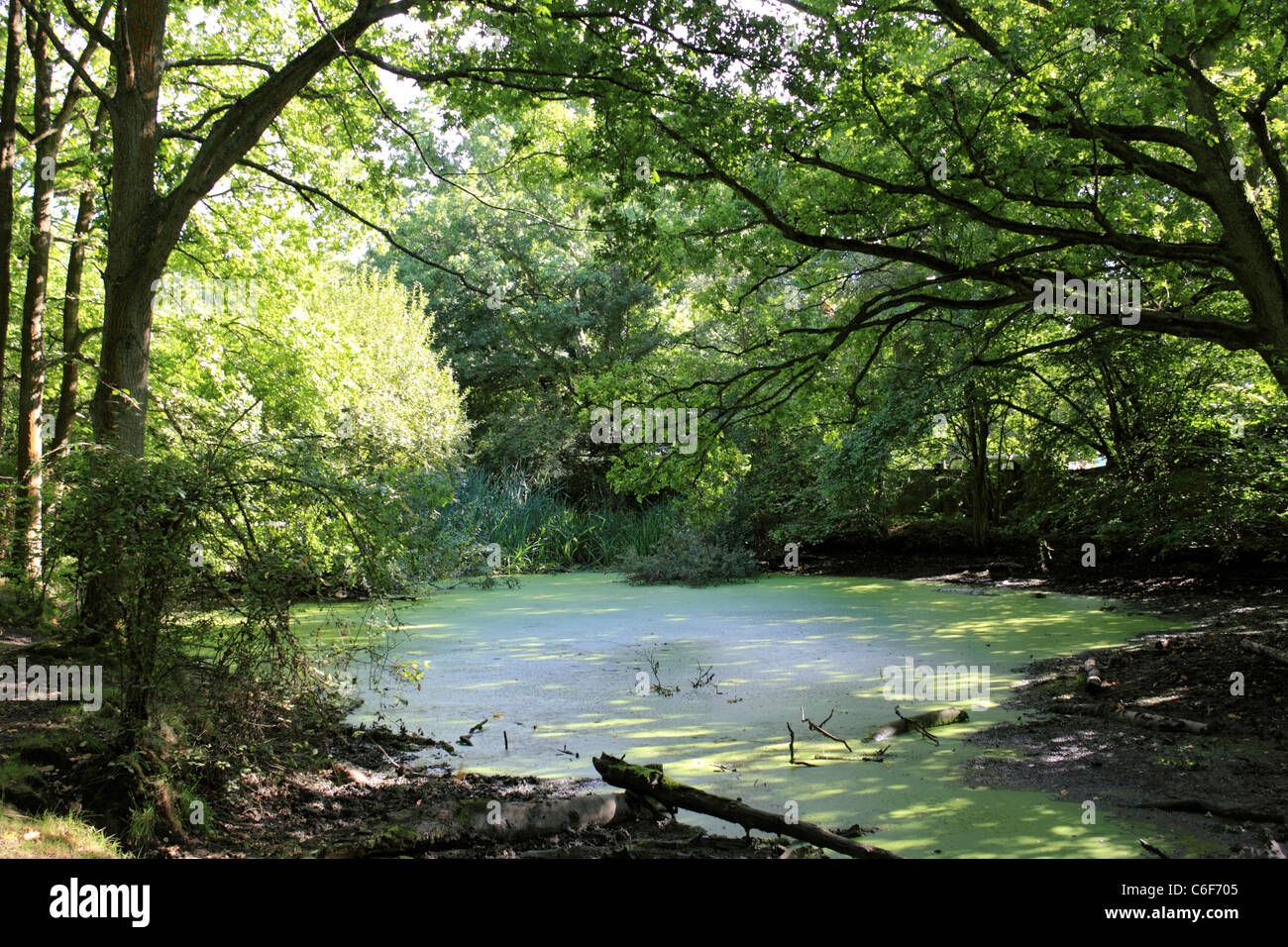 Epsom hi-res stock photography and images - Alamy