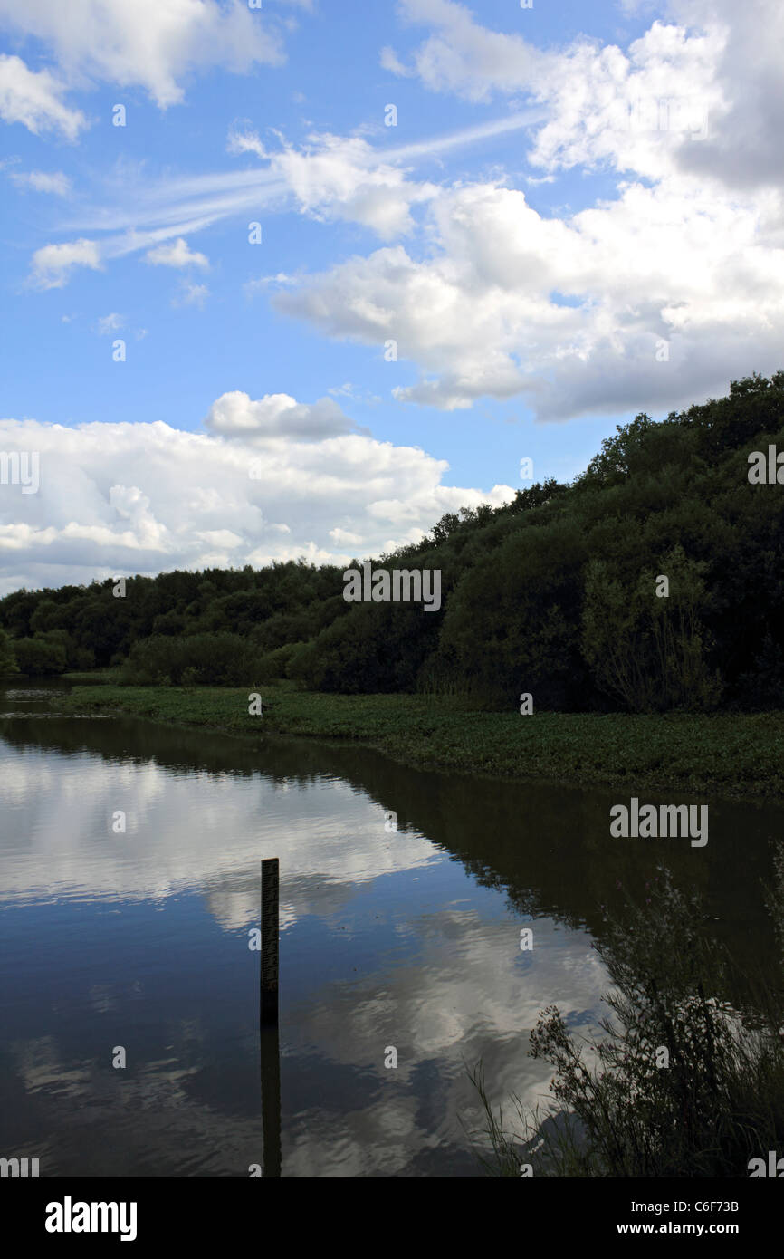 Epsom Common, Epsom, Surrey, England UK Stock Photo - Alamy