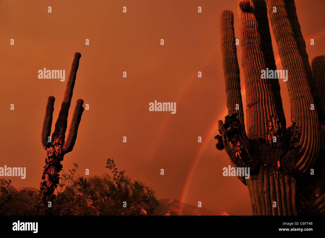 A rainbow appears at sunset during a monsoon rain storm in Tucson ...