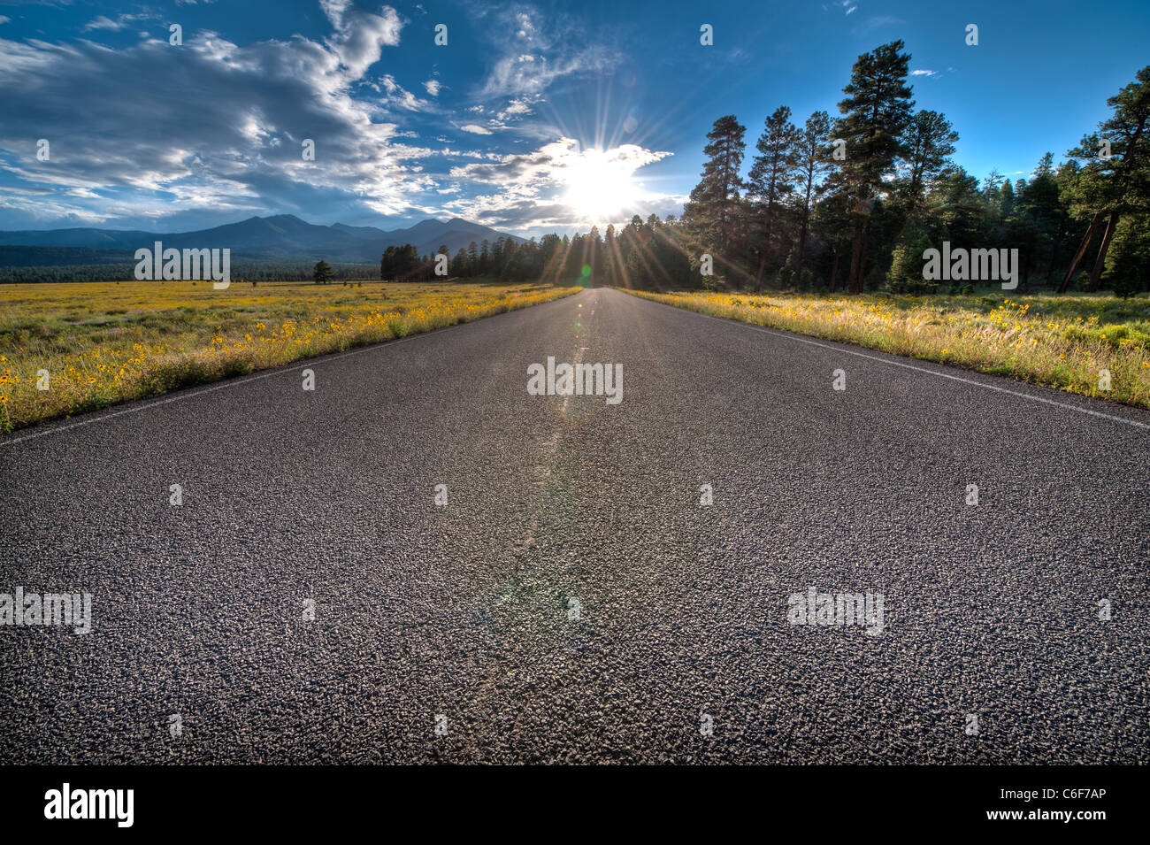Tar road running through Sunset Crater National Monument in northern ...