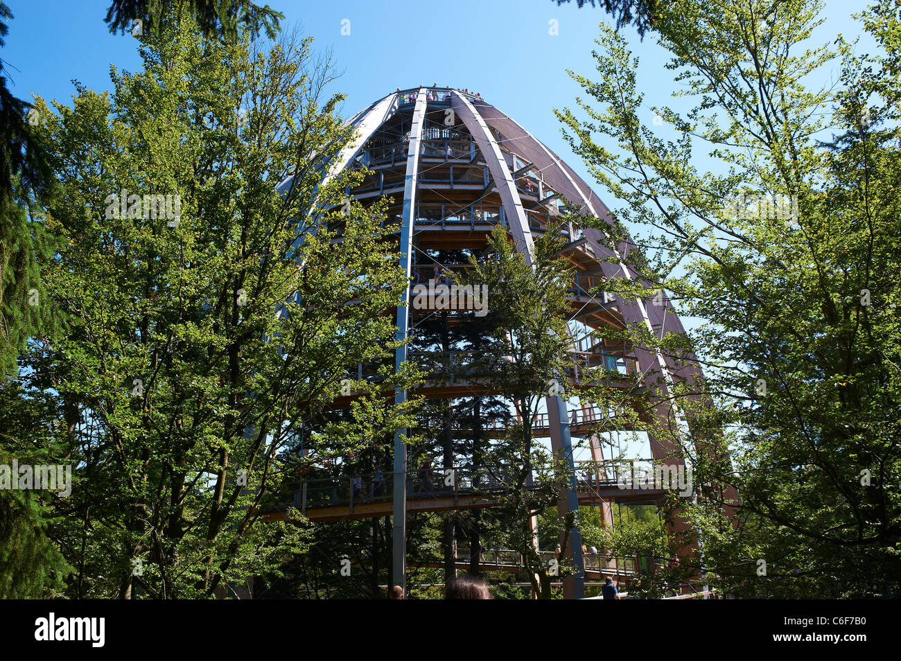 The world´s longest tree top walk - Tree Tower - Bavarian Forest ...