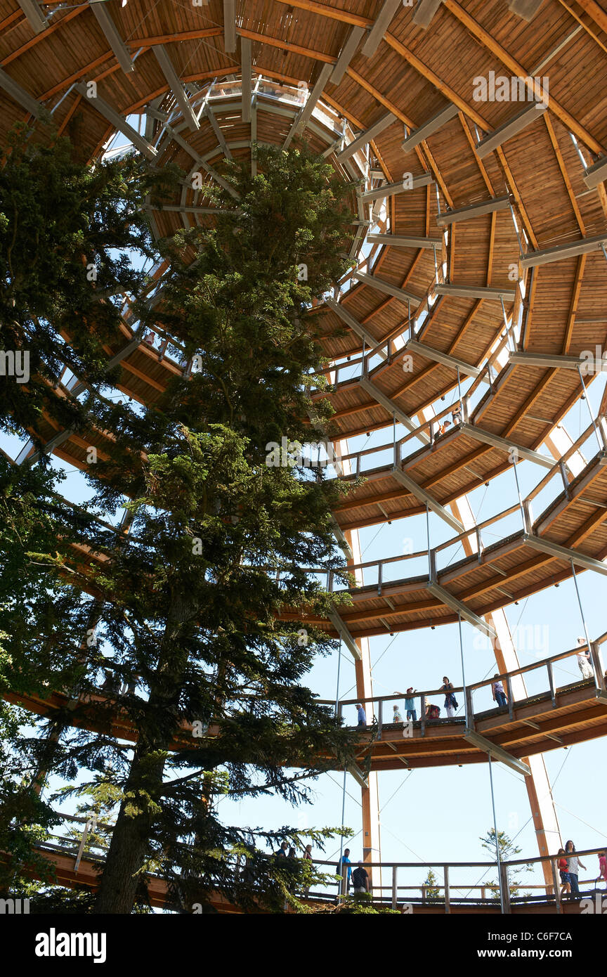 The world´s longest tree top walk - Tree Tower - Bavarian Forest ...