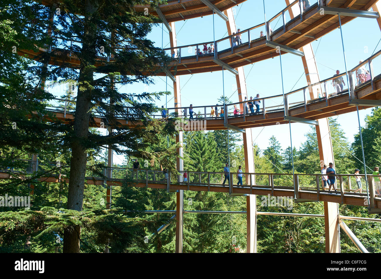 The world´s longest tree top walk - Tree Tower - Bavarian Forest ...