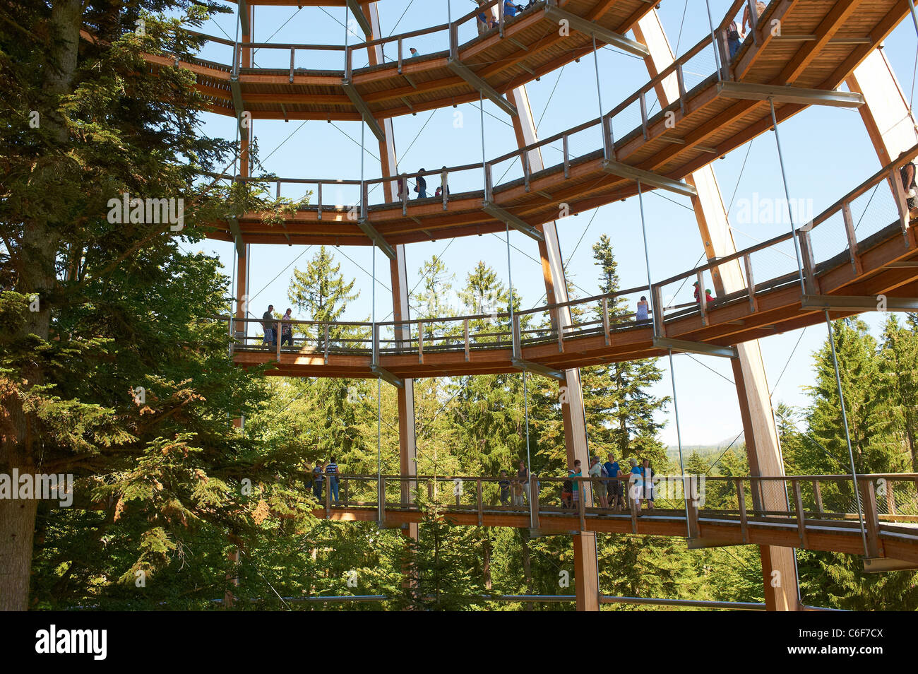 The world´s longest tree top walk - Tree Tower - Bavarian Forest ...